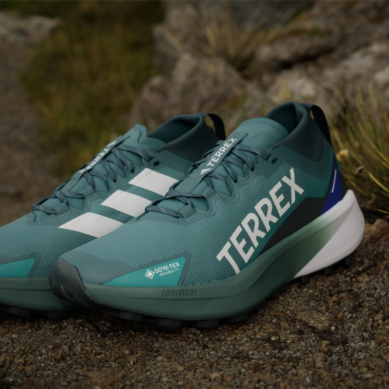Adidas Terrex Agravic GTX Trail Running Shoes Preloved Teal / Cloud ...