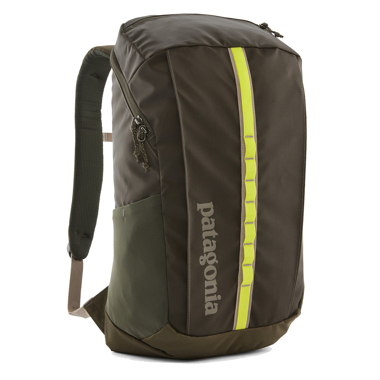 Patagonia Black Hole Pack 25L Pine Needle Green | Yards Store